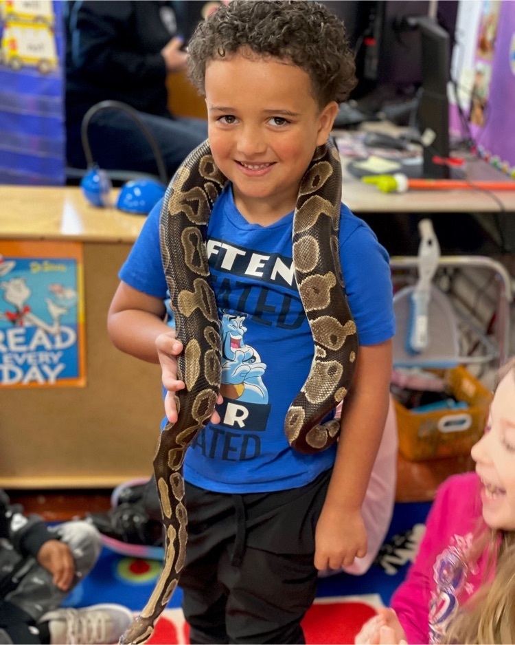 Live Feed | Seth G. Haley Elementary School